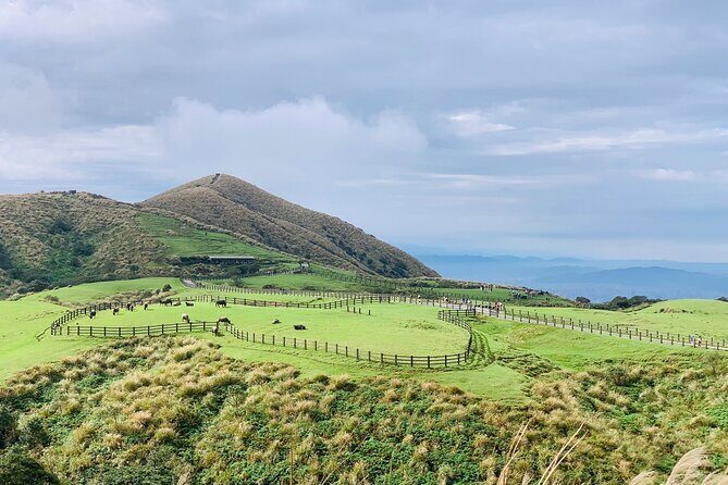 Private Car Charter in Yangmingshan Park(Pro Experienced Driver) - What You’ll See and Experience