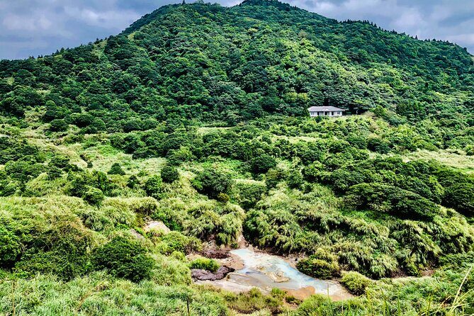 Private Car Charter in Yangmingshan Park(Pro Experienced Driver) - Final Thoughts