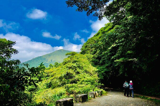 Private Car Charter in Yangmingshan Park(Pro Experienced Driver) - FAQs