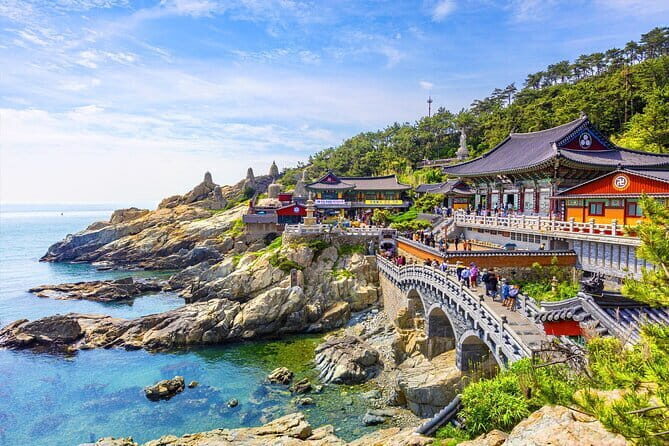 Private Car Charter Tour in Busan City - An In-Depth Look at What This Tour Offers