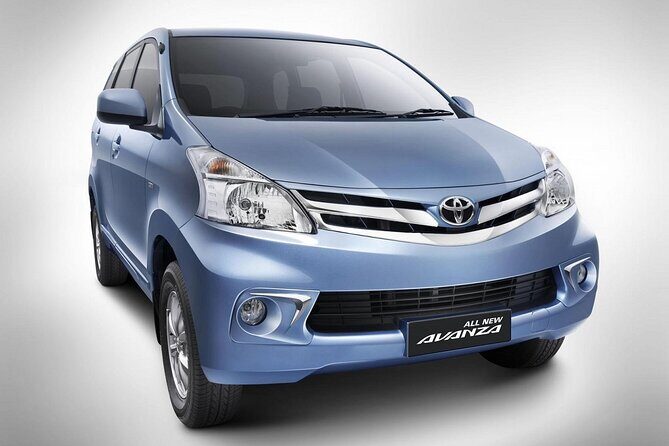 Private Car Charter Tour With Driver In Bali - The Sum Up