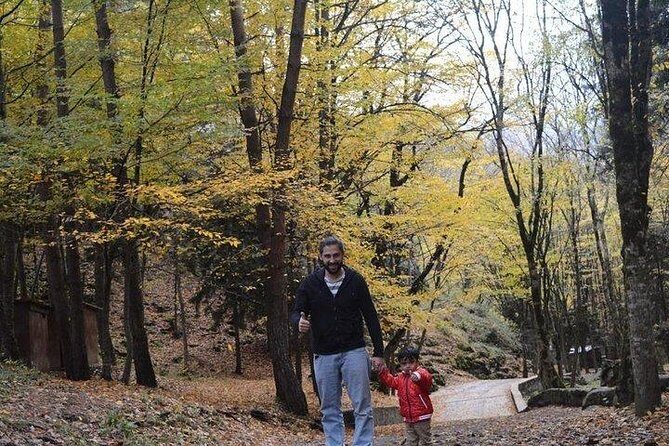 Private Car - From Tbilisi, Kutaisi, Martvili Canyons, caves - The Experience in Detail