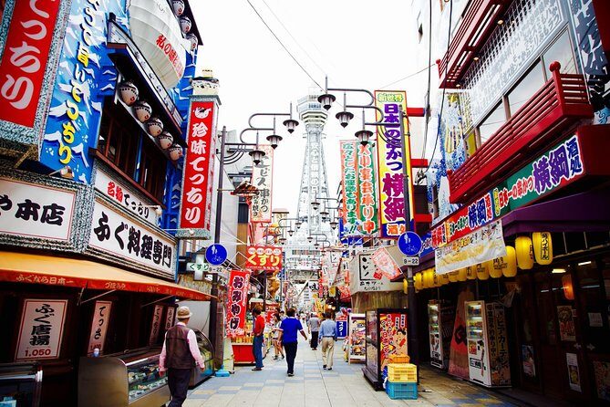 Private Car Full Day Tour of Osaka Temples, Gardens and Kofun Tombs - An In-Depth Look at the Experience