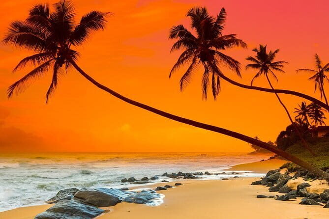 Private Car Hire with Driver-Guide for 06 Days Round Tour - Final Thoughts