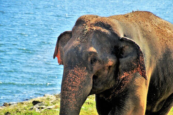 Private Car Hire with Driver-Guide for 18 Days Round Tour - Final Thoughts: Is This Tour Right for You?