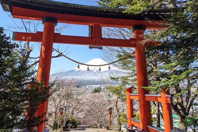 Private Car Mt Fuji and Gotemba Outlet in One Day from Tokyo - FAQs about the Private Mt. Fuji and Gotemba Outlet Day Tour