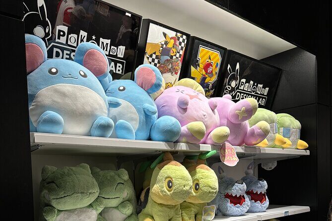 Private Car Tour for Anime Manga Game and Otaku Tour in Tokyo - Key Points