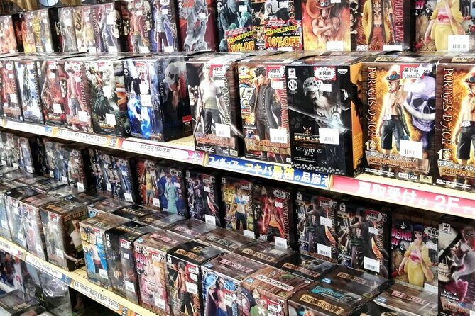 Private Car Tour for Anime Manga Game and Otaku Tour in Tokyo - FAQ