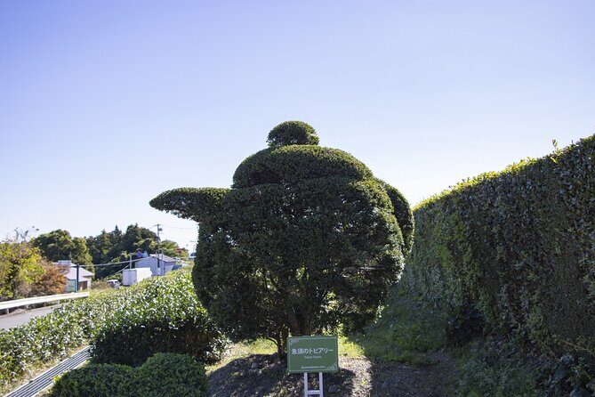 Private Car Tour from Shimizu Port to Visit Kakegawa Tea Culture - Exploring Shizuoka’s Charm Through This Private Tour