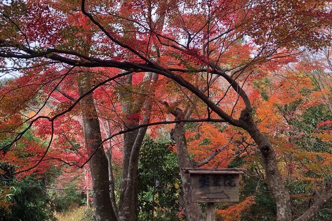 Private car tour in Kyoto (up to 4) - The Sum Up