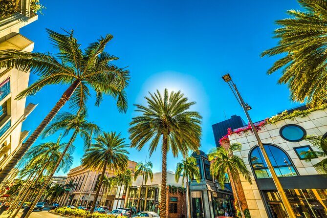 Private Car Tour LA Hollywood Beverly Hills Venice Santa Monica - Venice Beach: Quirky and Iconic