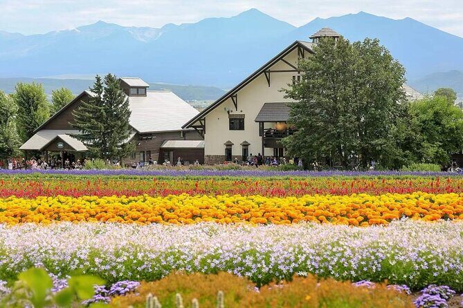 Private Car Tour to Biei Furano and Blue Pond from Sapporo - Who Will Love This Tour?