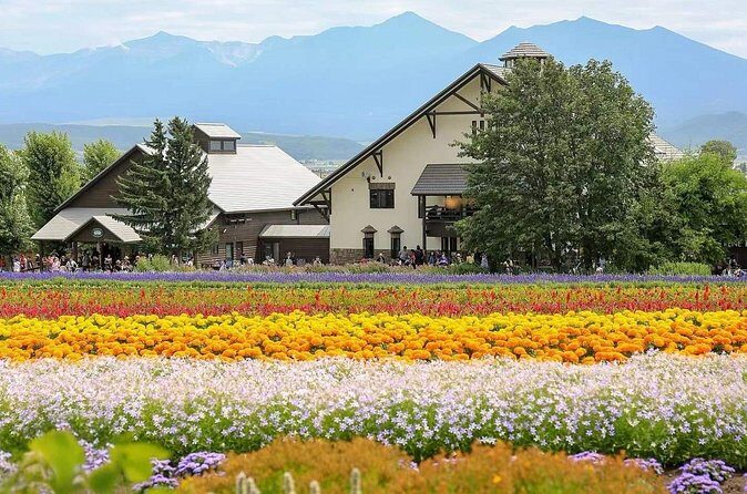 Private Car Tour to Biei Furano and Blue Pond from Sapporo - Final Thoughts