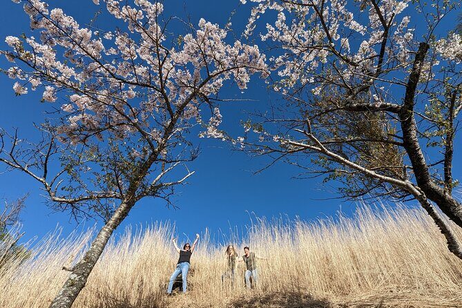 Private Car Tour to Mt. Fuji and Kawaguchiko or Hakone - Practical Details and Considerations