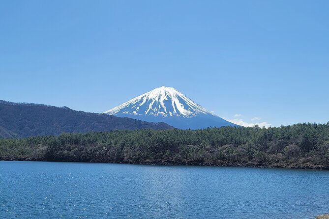 Private Car tour to Mt. Fuji/Hakone with English Driver/Guide - Who This Tour Suits Best