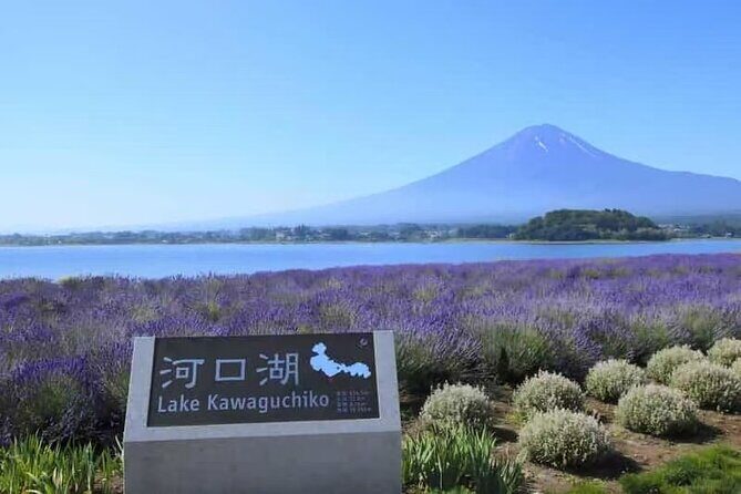 Private Car Tour to Mt. Fuji Lake Kawaguchiko - How the Day Unfolds