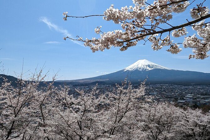 Private Car Tour to Mt. Fuji Lake Kawaguchiko or Hakone - Introduction