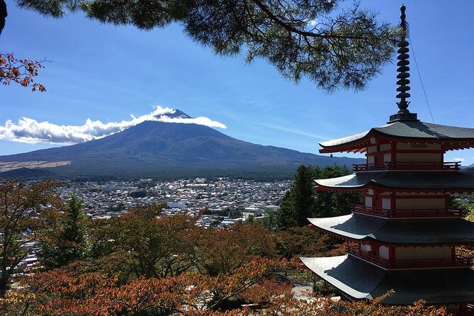 Private Car Tour to Mt. Fuji Lake Kawaguchiko or Hakone - In The Sum Up