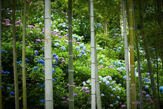 Private Car Tour to see Highlights of Kamakura, Enoshima, Yokohama from Tokyo - Pricing & Value