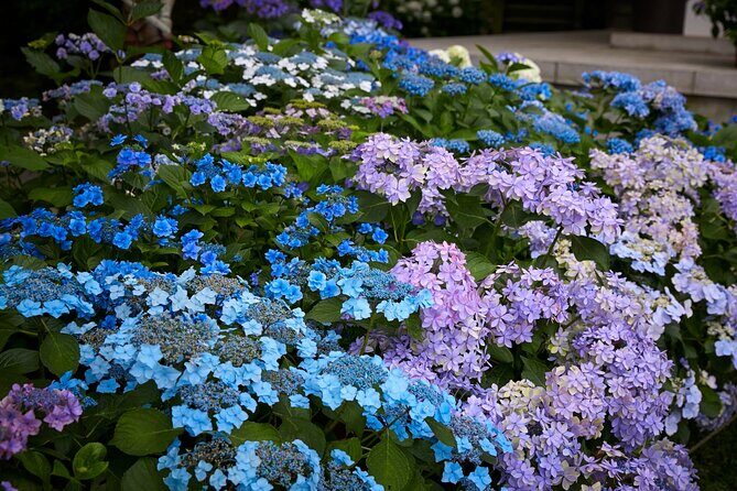 Private Car Tour to see Highlights of Kamakura, Enoshima, Yokohama from Tokyo - What Do Travelers Say?