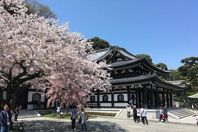 Private Car Tour to see Highlights of Kamakura, Enoshima, Yokohama from Tokyo - Final thoughts
