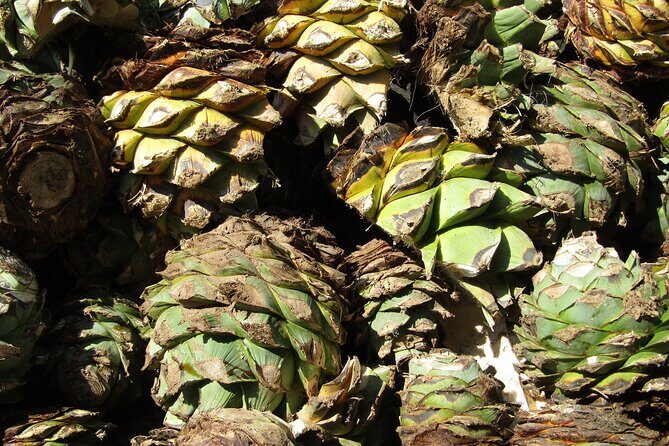 private car tour with driver - The Sum Up