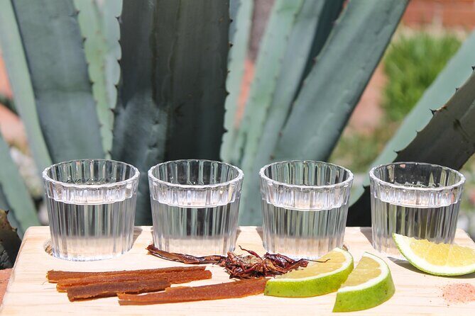 private car tour with driver - FAQ