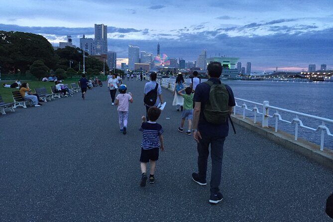 Private Car transfer from Narita airport to Tokyo - The Experience: From Aeropuerto to Tokyo in Style