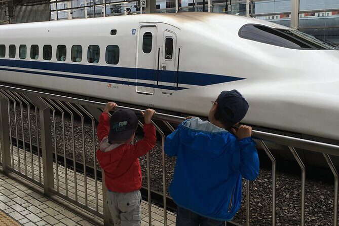 Private Car transfer from Narita airport to Tokyo - Who Is This Service Best For?