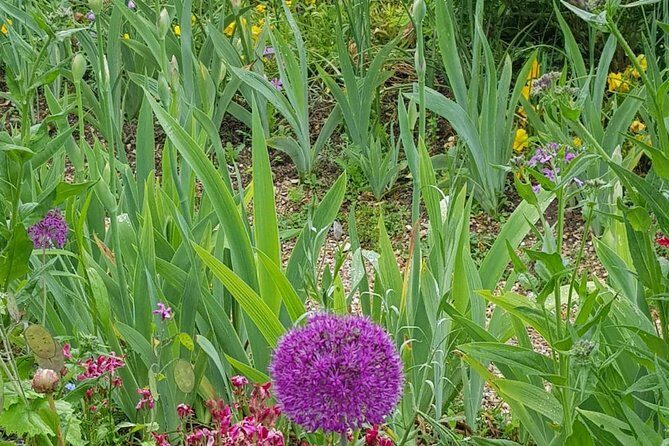 Private Car Trip to Giverny Garden from Paris - Reviews and Real Traveler Insights