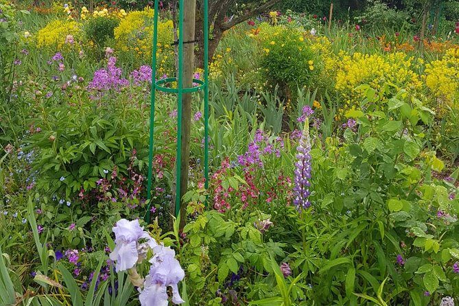 Private Car Trip to Giverny Garden from Paris - Who Should Consider This Tour?