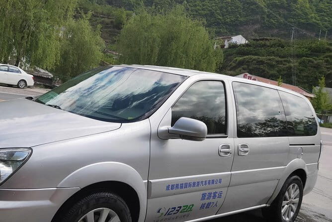 Private Car Use for Chengdu Panda breeding Center - Authentic Panda Experience and Ticket Assistance
