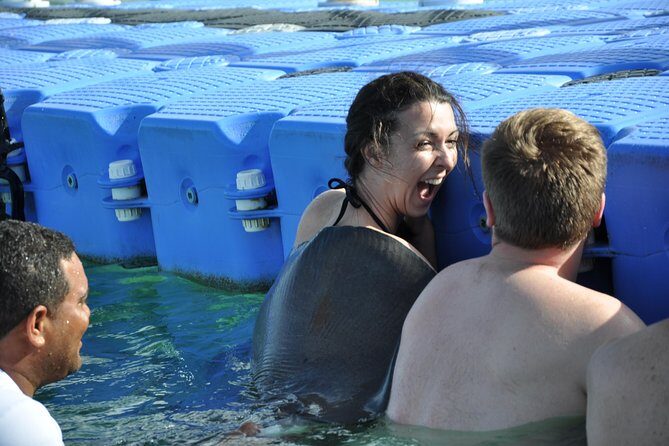 Private Caribbean Snorkeling Cruise At Punta Cana & Sharks, Stingray Encounter - Encountering Sharks and Rays