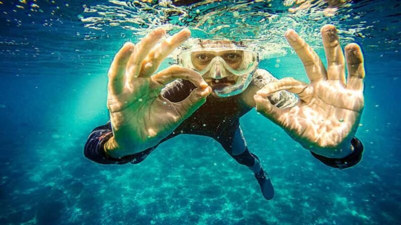 Private: Catalina Island Diving Tour with Lunch - What to Expect from the Catalina Island Diving Tour