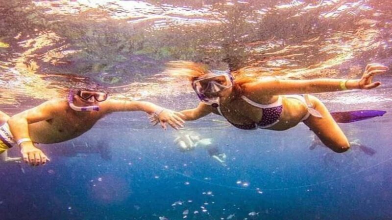 Private: Catalina Island Diving Tour with Lunch - Final Thoughts – Is This Tour Right for You?