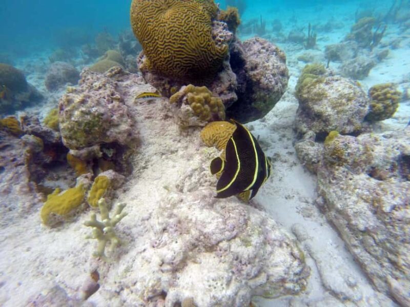 Private Catalina Island Snorkel & Beach Day from Punta Cana - Introduction