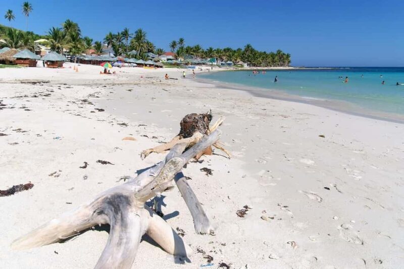 Private Catalina Island Snorkel & Beach Day from Punta Cana - Practical Details and Tips