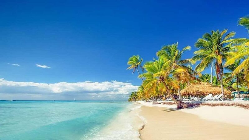 Private: Catalina Island Snorkeling & BBQ Boat Tour - Who Will Love This Tour?