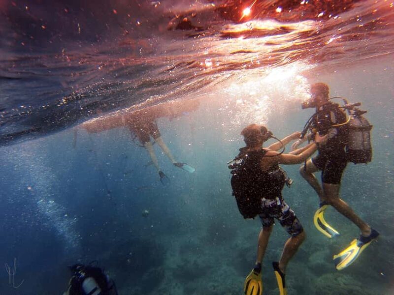 Private: Catamaran Adventure & Beach BBQ at Catalina Island - Key Points