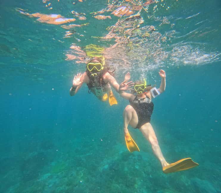 Private: Catamaran Adventure & Beach BBQ at Catalina Island - Who Will Enjoy This Tour?