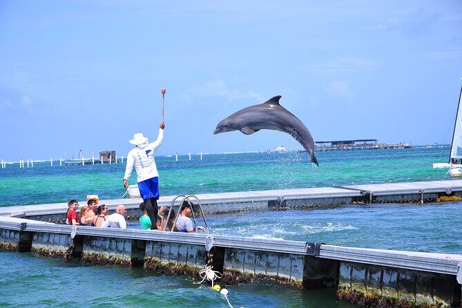 Private Catamaran for Your GroupSnorkeling, Music, Dominican Rum - The Practicalities: From Booking to Day-of Details