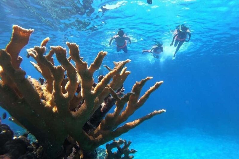 Private Catamaran in Cozumel: El Cielo and Turtle Sanctuary - Detailed Breakdown of the Itinerary