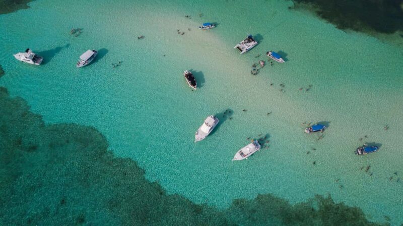 Private Catamaran in Cozumel: El Cielo and Turtle Sanctuary - Accessibility and Practical Considerations