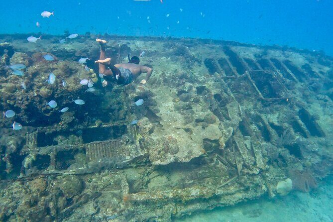 Private catamaran sail & snorkel - What to Expect on Your Barbados Private Snorkel Tour