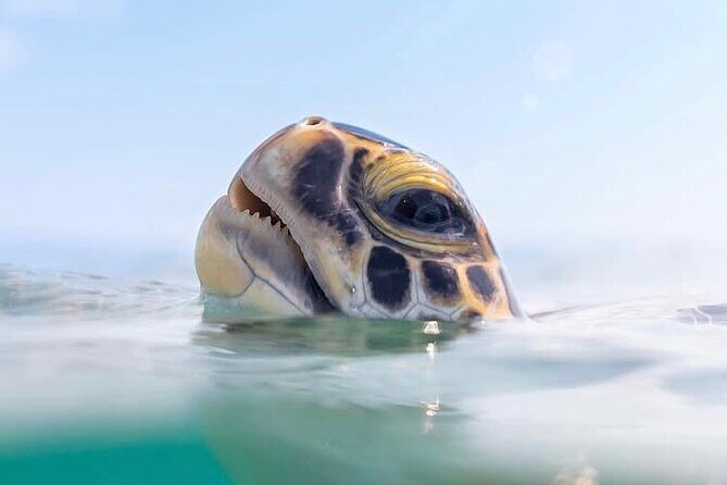 Private catamaran sail & snorkel - Who Would Enjoy This Tour?