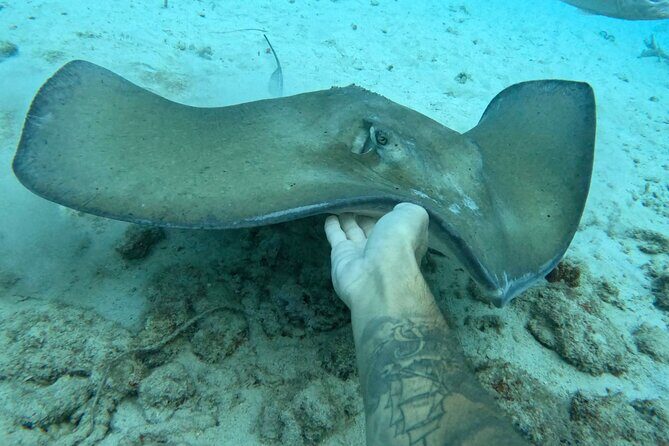 Private catamaran sail & snorkel - Frequently Asked Questions