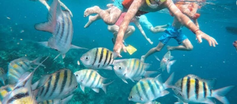 Private Catamaran Sail & Snorkel Ocho Rios  Open Bar Snacks - Authenticity and Traveler Feedback