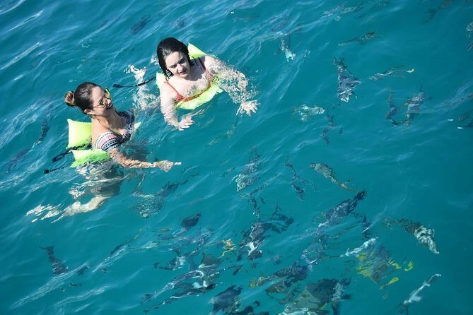 Private Catamaran Snorkeling Cruise in Los Cabos - Who Will Love This Tour