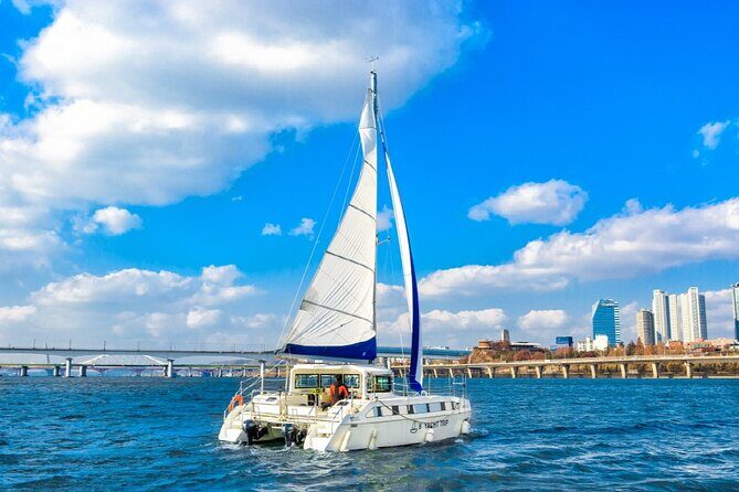 Private Catamaran Yacht Tour in Han River - Who Should Consider This Tour?