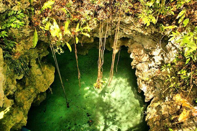 Private Cave Cenote, Open Cenote and Lunch Tour - The Practical Side: Transportation, Timing, and Comfort